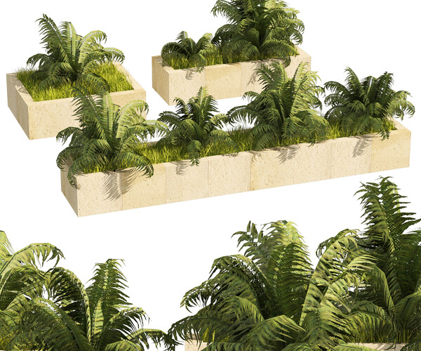 ArtStation - 3 Street border plant, low poly | Game Assets
