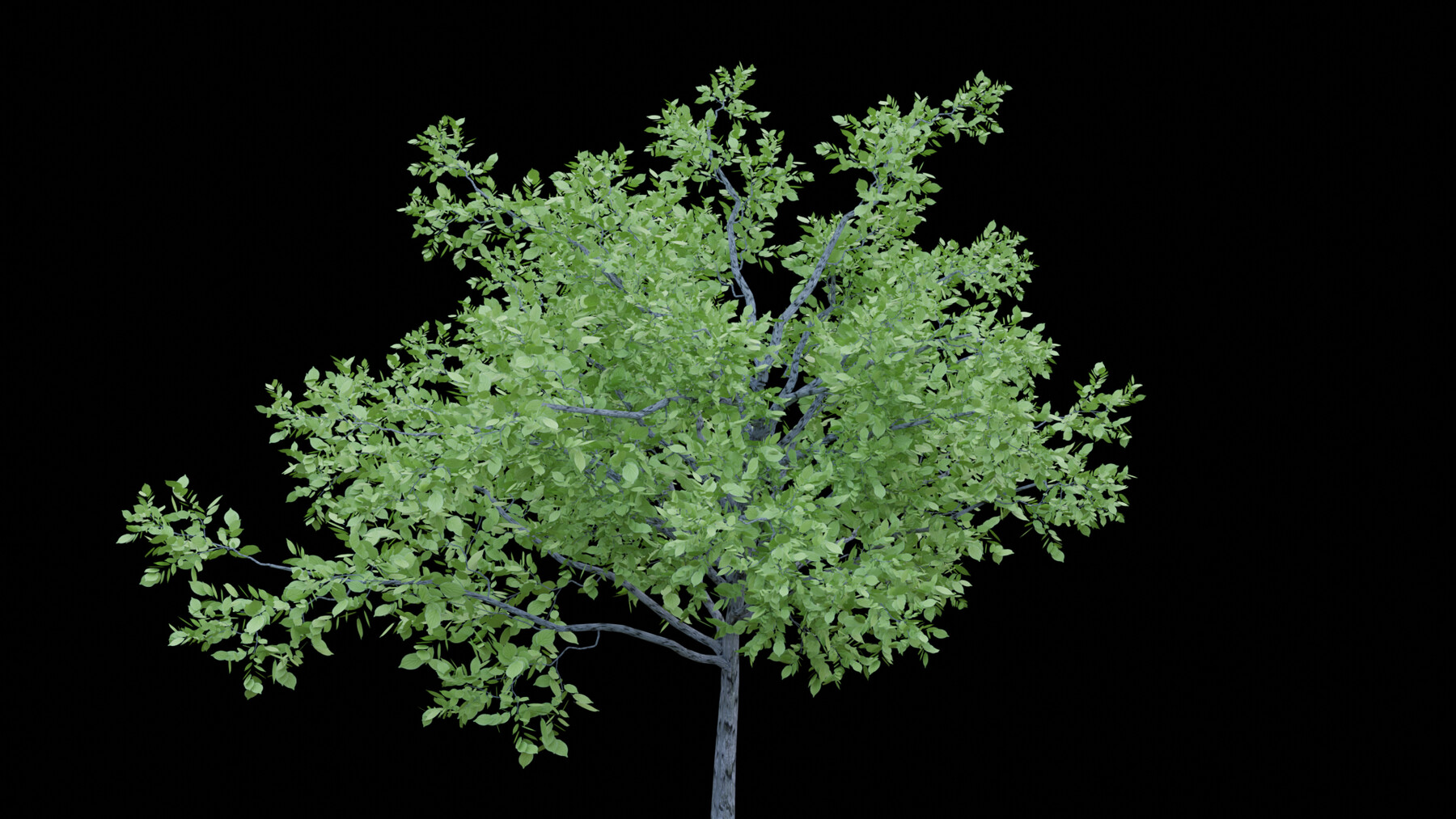 ArtStation - Tree Geometry Nodes | Resources
