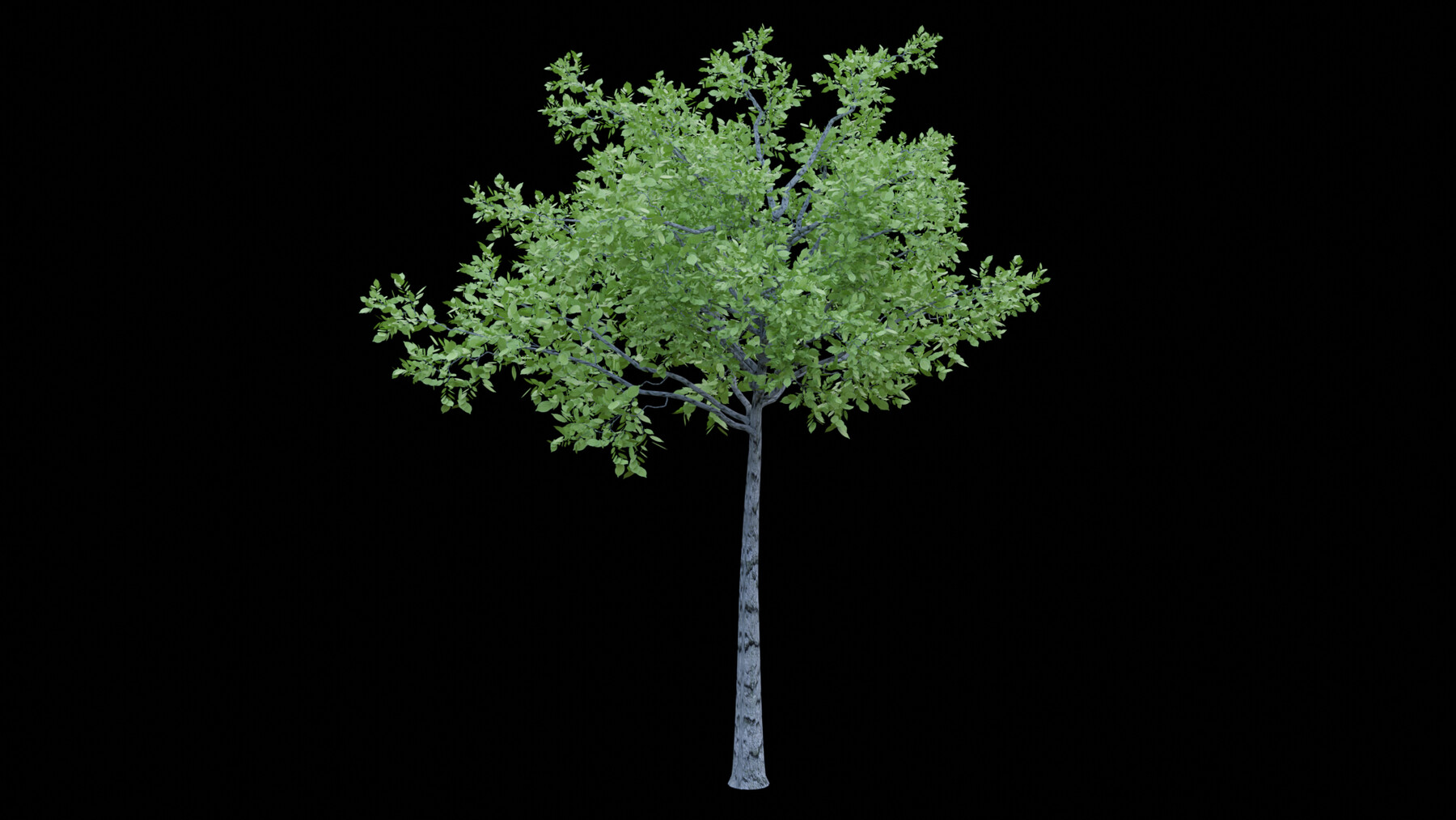ArtStation - Tree Geometry Nodes | Resources