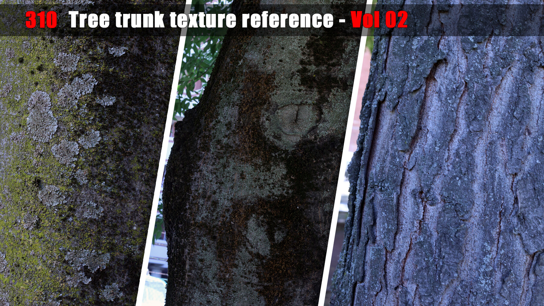 ArtStation - Tree trunk texture reference - Vol 02 | Resources