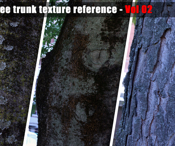 ArtStation - Tree trunk texture reference - Vol 02 | Resources