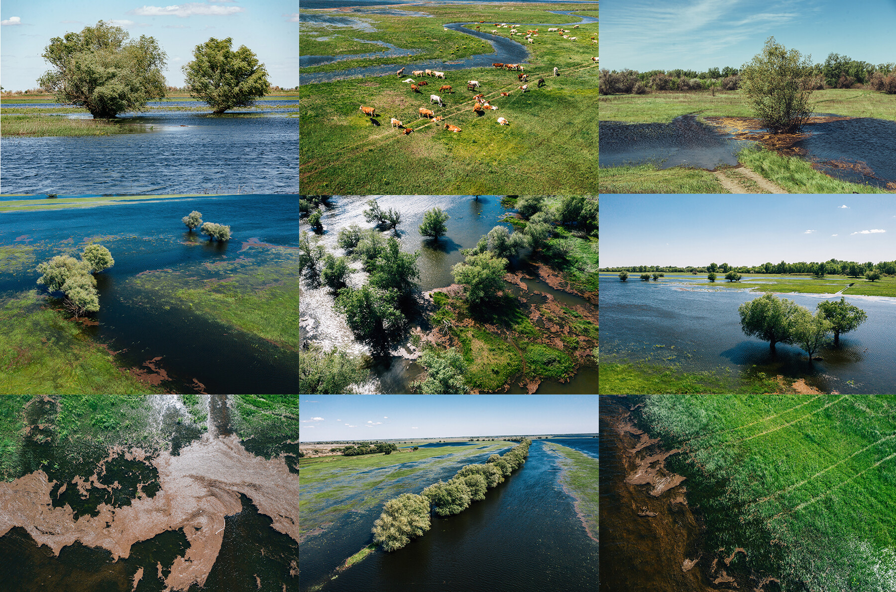 ArtStation - 750+ Flowing Rivers Reference Pictures | Resources