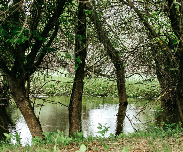 ArtStation - 750+ Flowing Rivers Reference Pictures | Resources