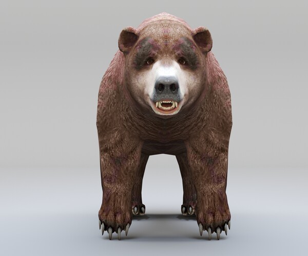 ArtStation - Bear 01_ 3d model | Resources