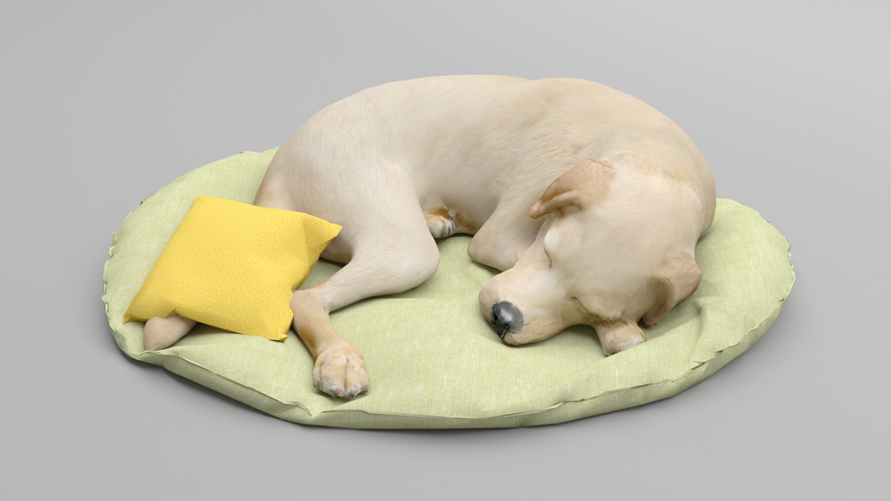 ArtStation - Dog 02_ 3d model | Resources