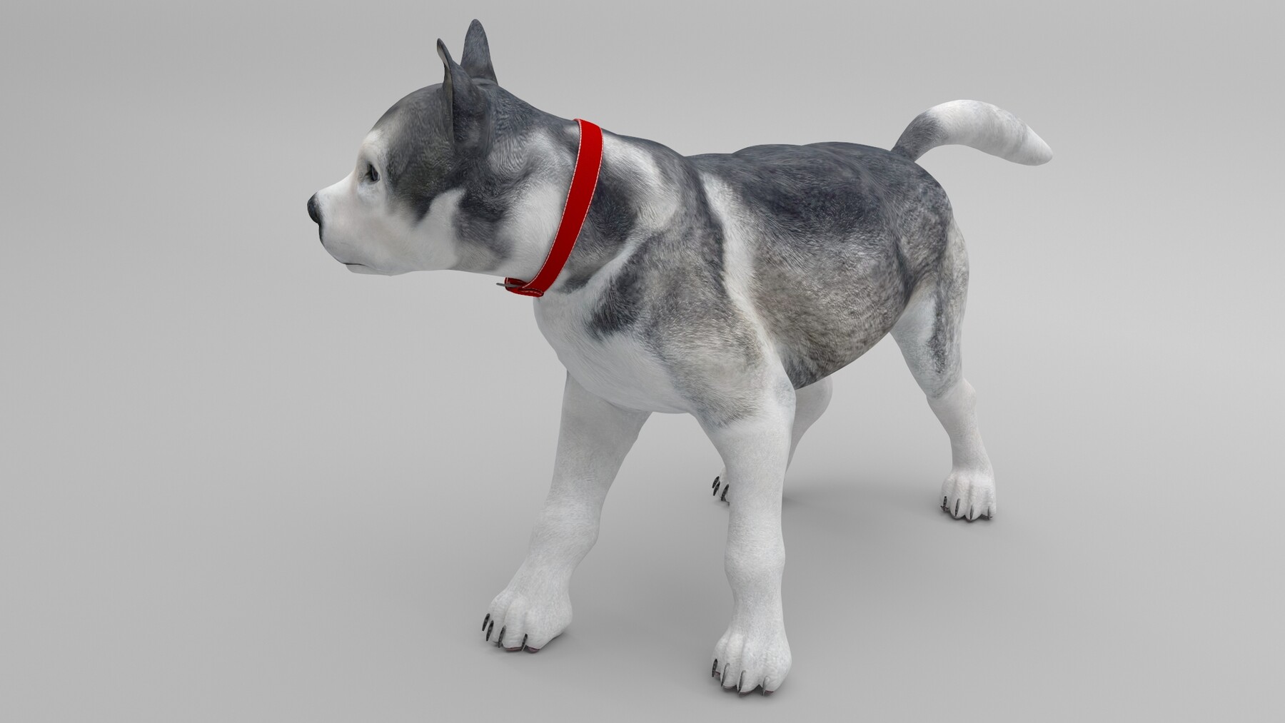 ArtStation - Dog 04_ 3d model | Resources