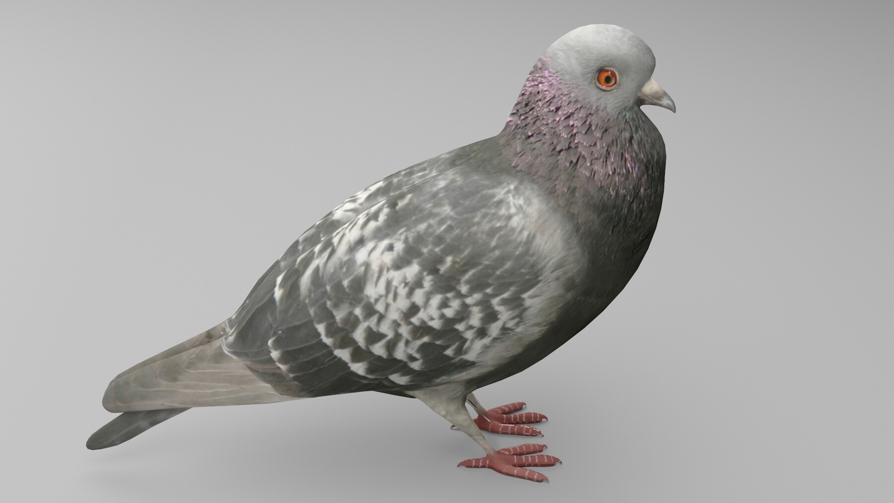ArtStation - Bird 01_ 3d model | Resources