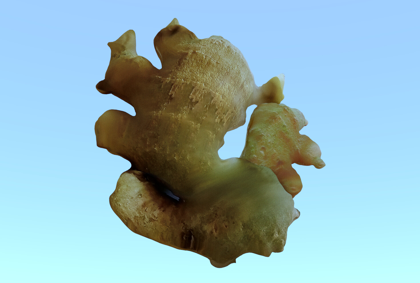 ArtStation - Ginger CG model download Ginger game assets | Resources