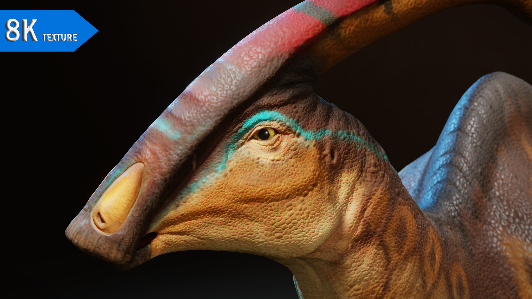 Parasaurolophus Face