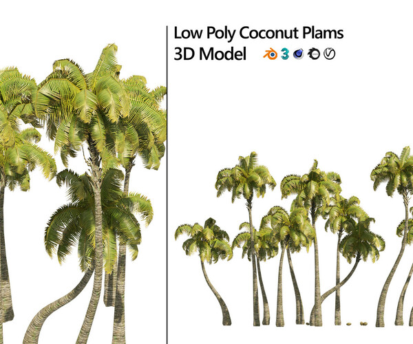 ArtStation - coconut tree beach | Game Assets