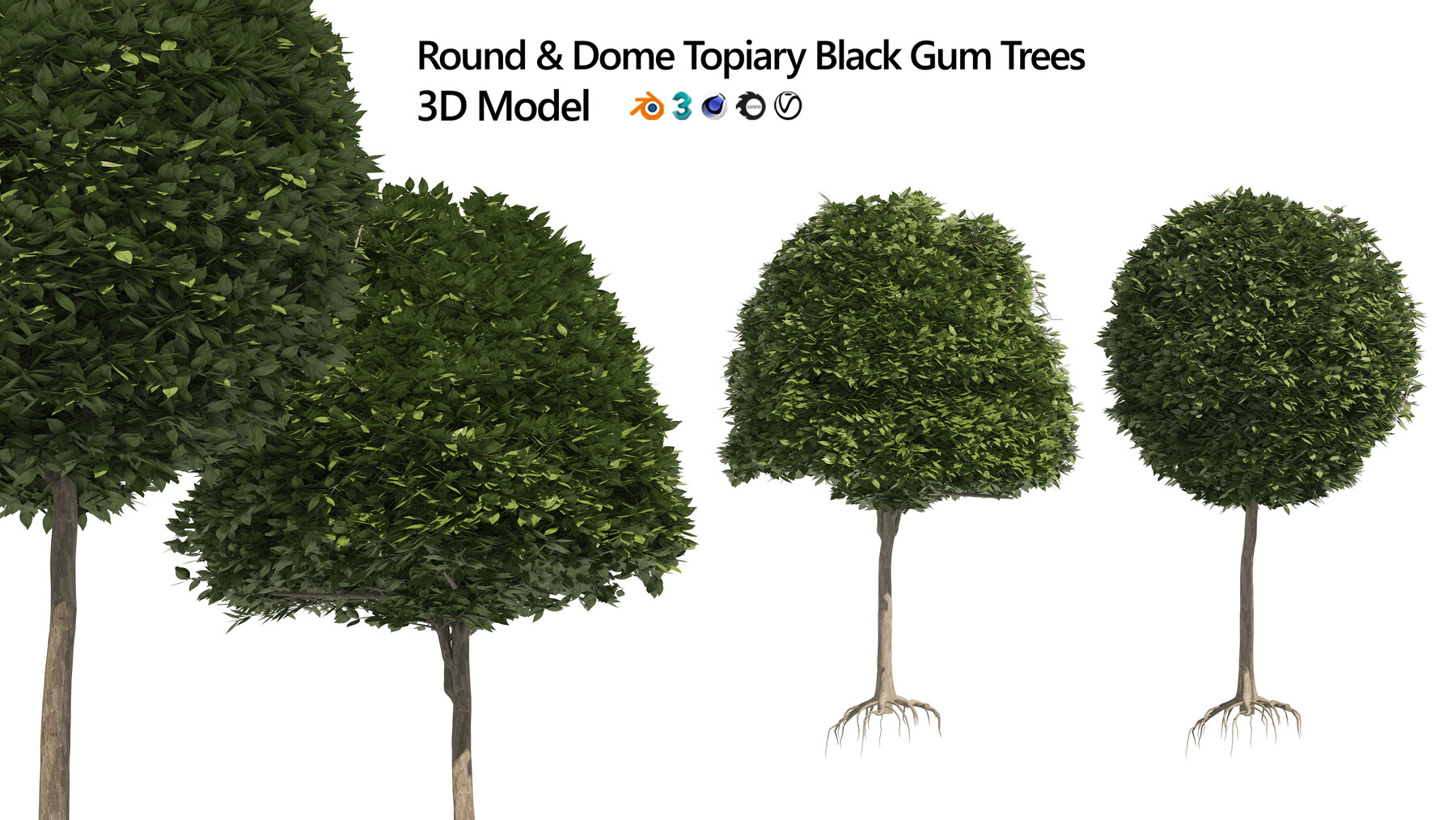 ArtStation - round and dome topiary tree | Game Assets
