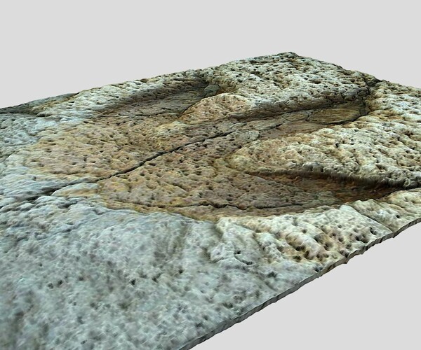 ArtStation - Tyrannosaurus Rex Footprint - fossil | Resources