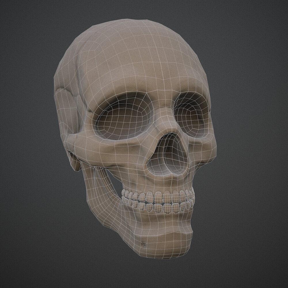 Artstation Skull Resources