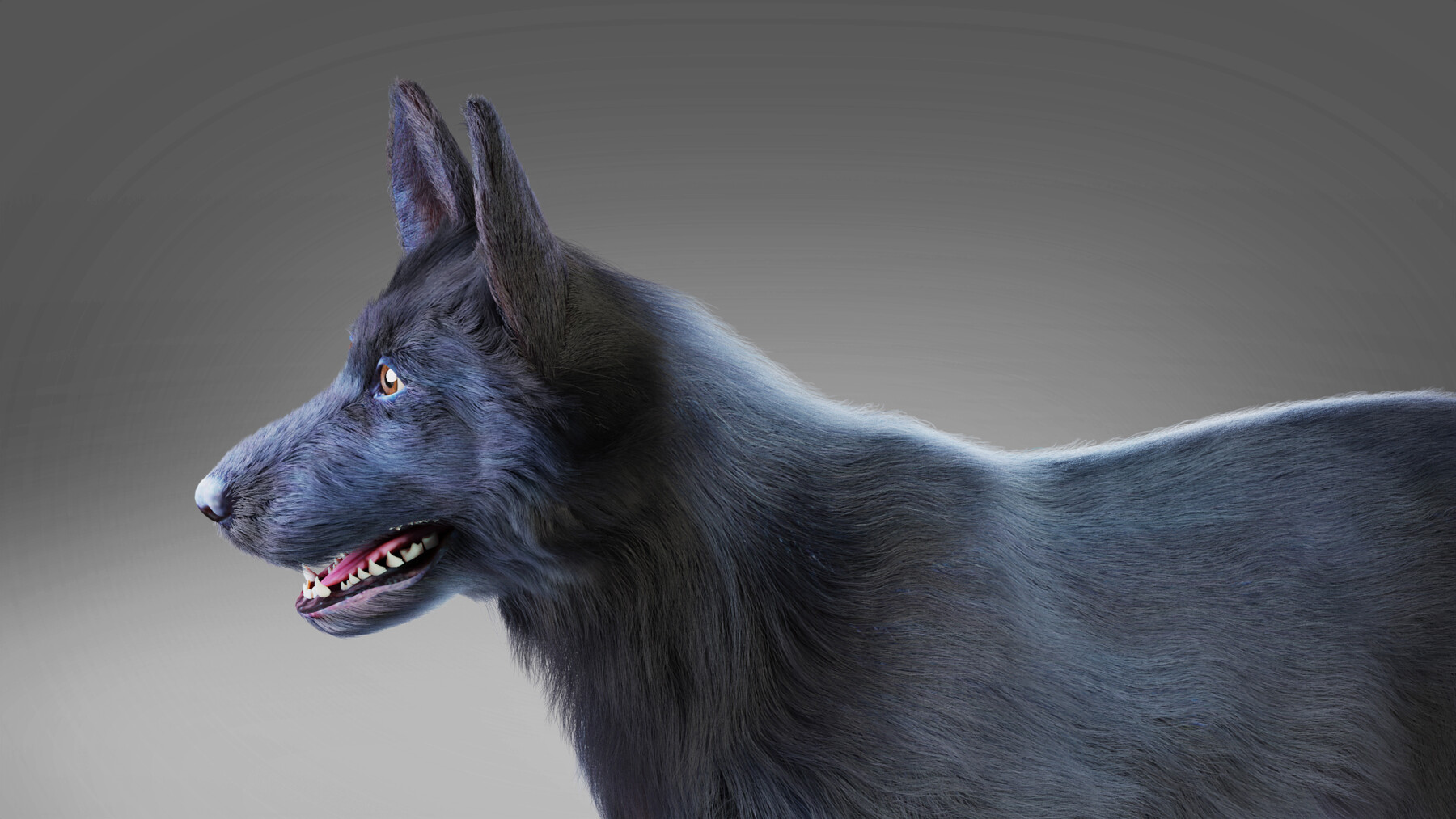ArtStation - Fur Black Dog Rigged in Blender | Game Assets