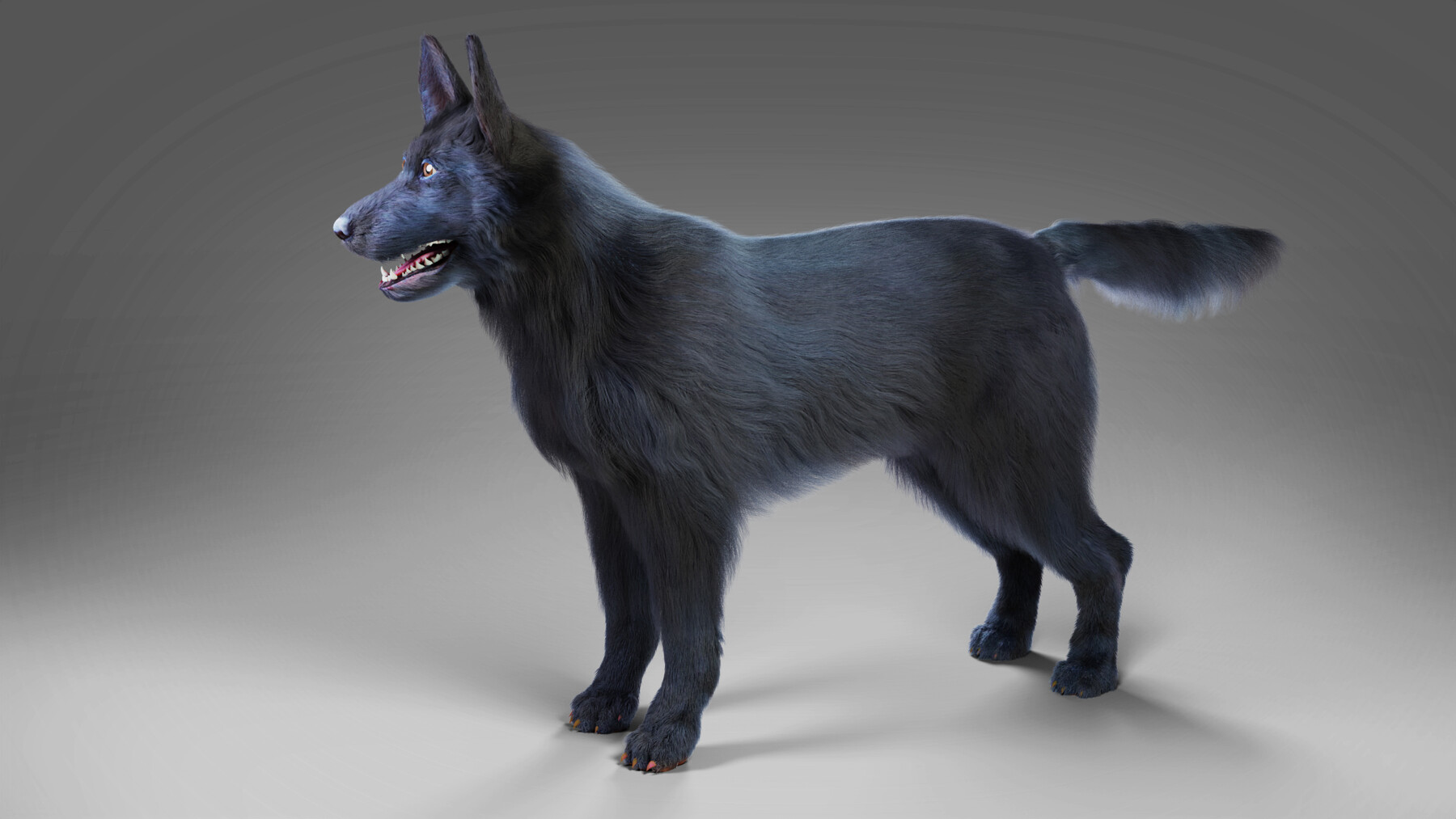 ArtStation - Fur Black Dog Rigged in Blender | Game Assets