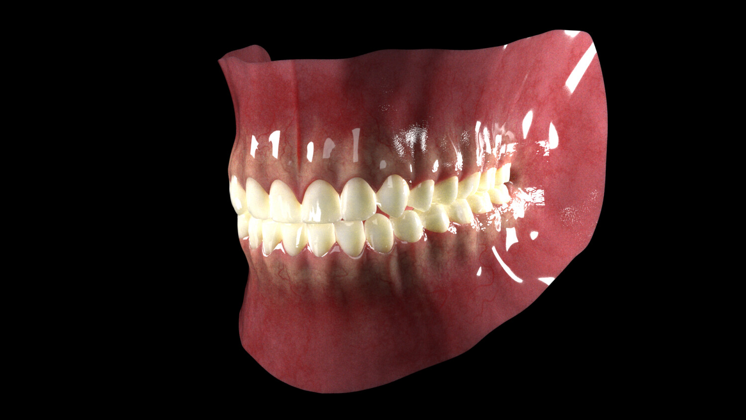 ArtStation - Mouth Model | Game Assets