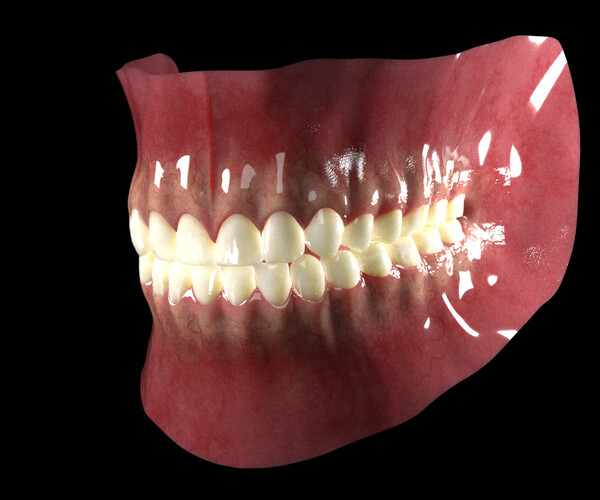 ArtStation - Mouth Model | Game Assets