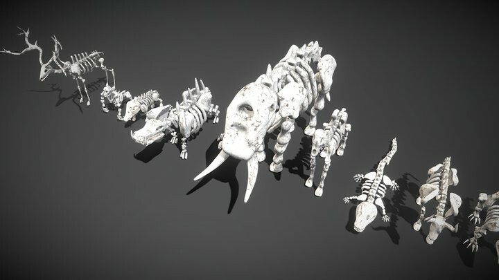 ArtStation - 3D Model - Animal Skeletons | Game Assets