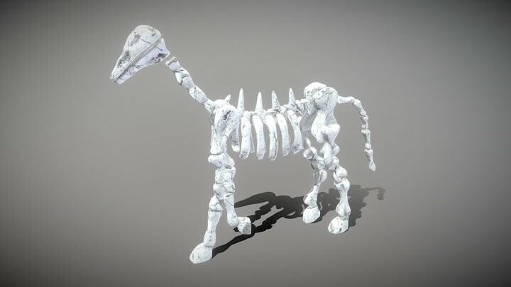 ArtStation - 3D Model - Animal Skeletons | Game Assets