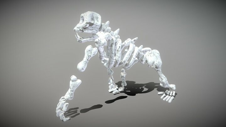 ArtStation - 3D Model - Animal Skeletons | Game Assets