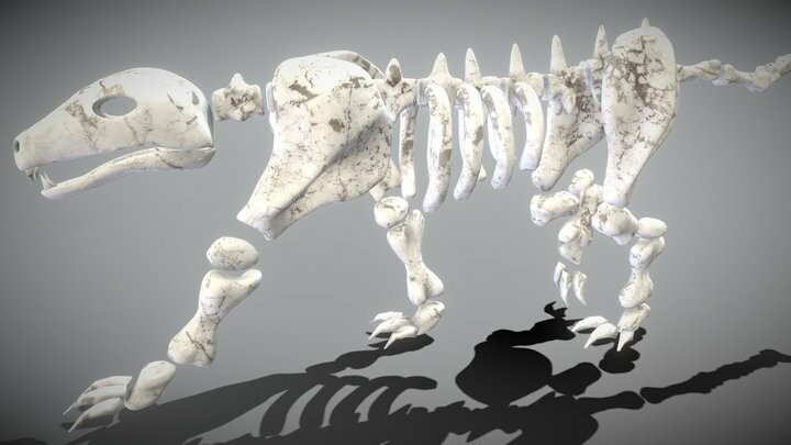 ArtStation - 3D Model - Animal Skeletons | Game Assets