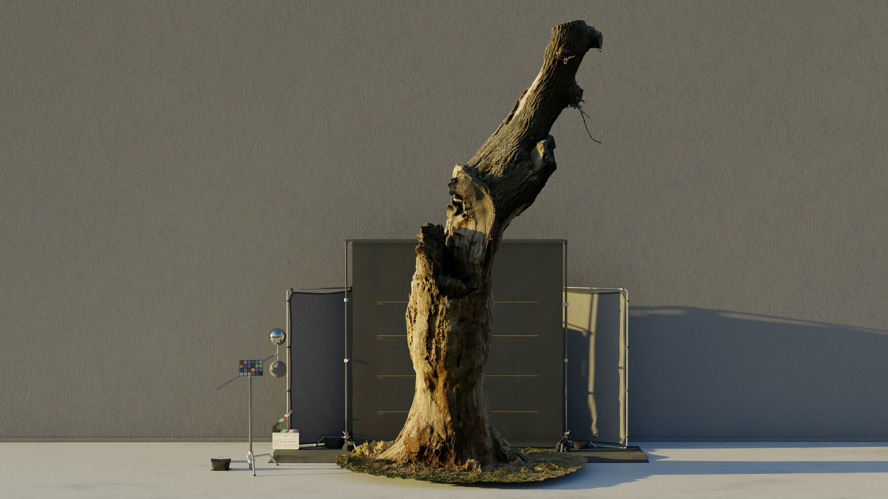 ArtStation - Dead Oak Photogrammetry Scan | Game Assets