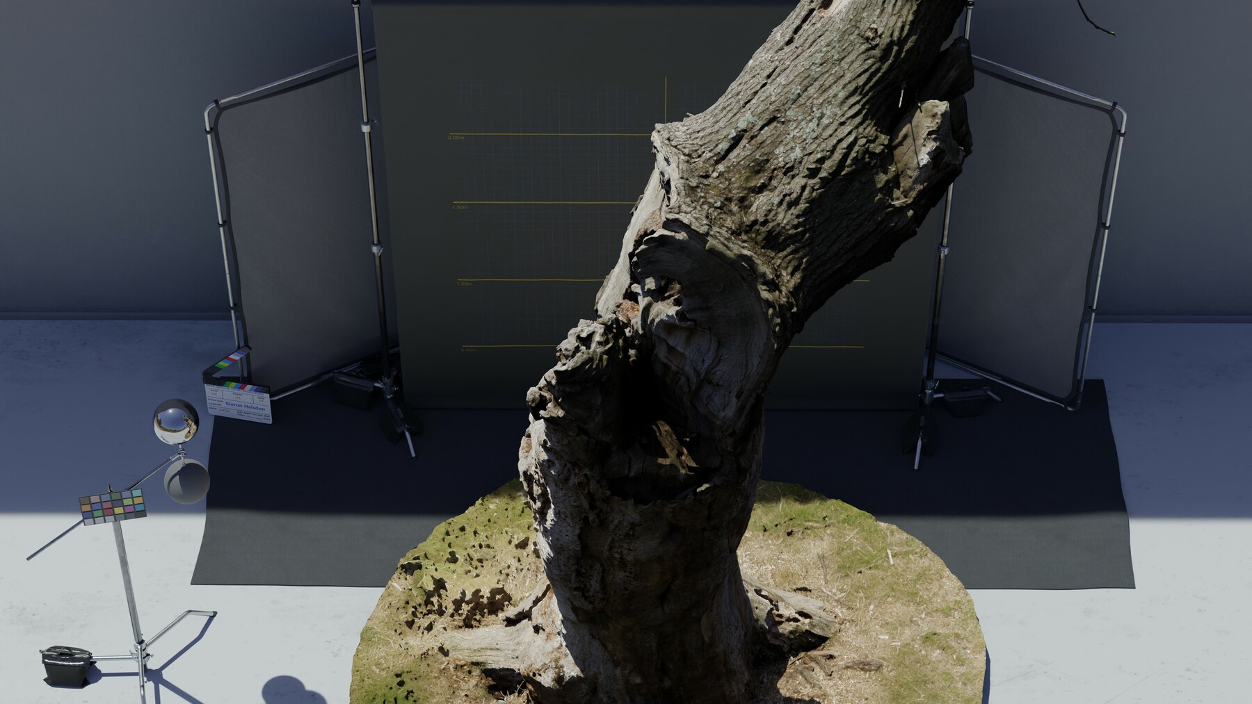 ArtStation - Dead Oak Photogrammetry Scan | Game Assets