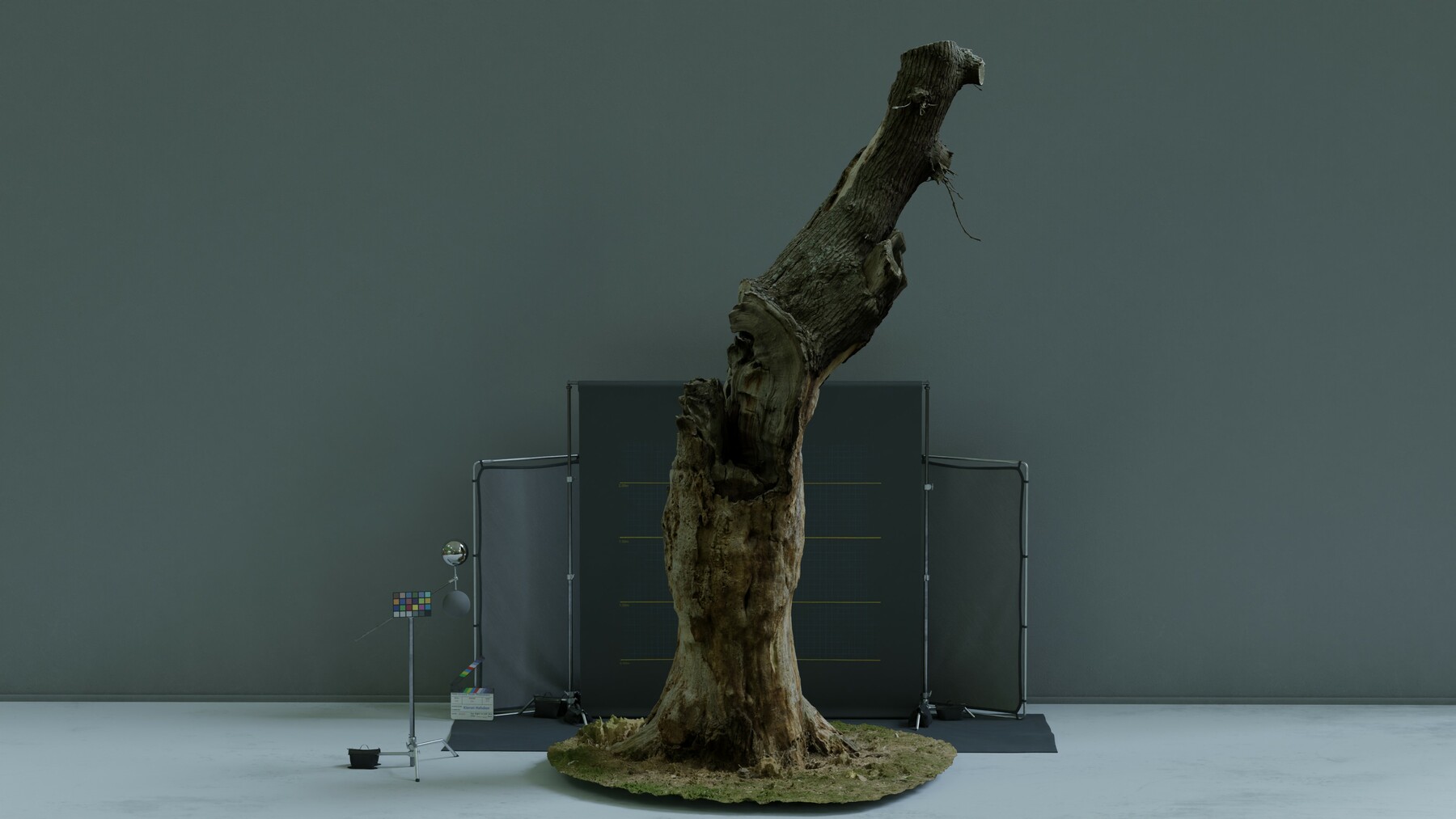ArtStation - Dead Oak Photogrammetry Scan | Game Assets