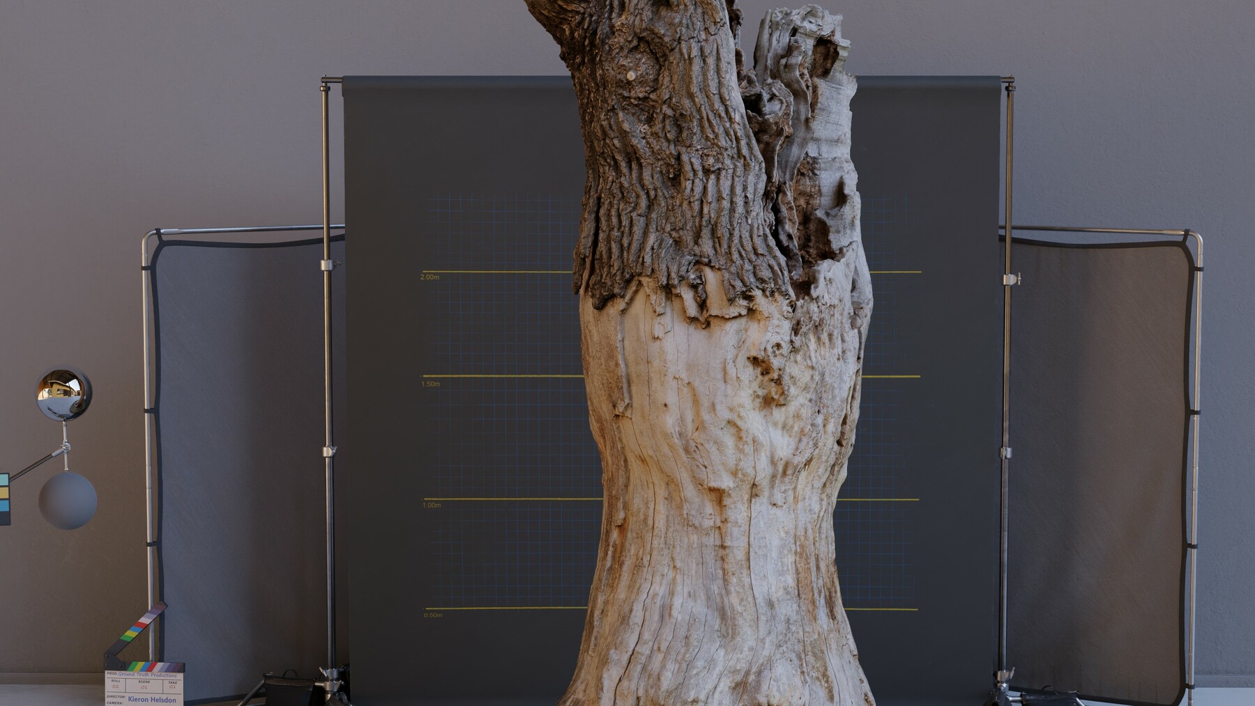 ArtStation - Dead Oak Photogrammetry Scan | Game Assets