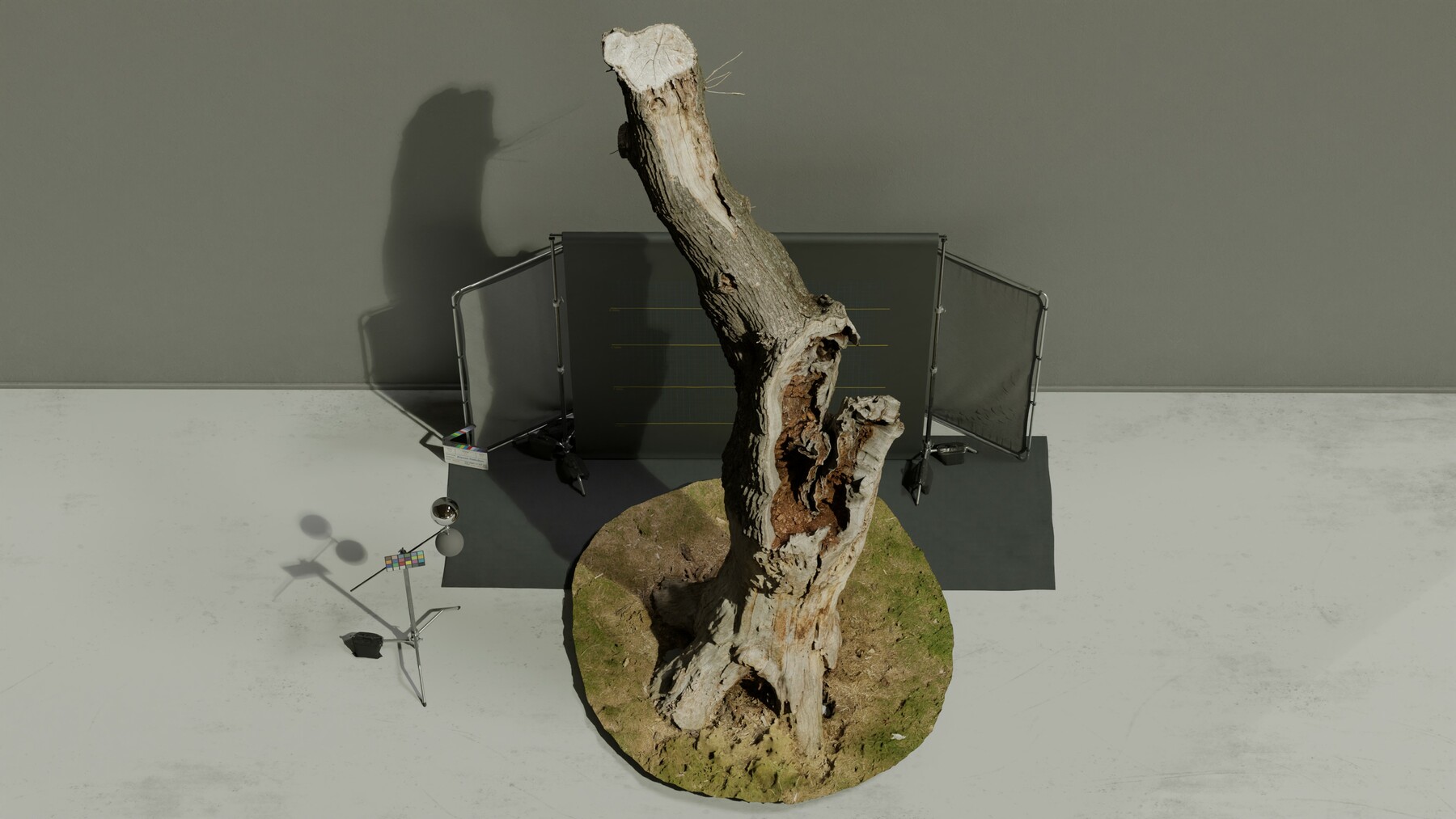 ArtStation - Dead Oak Photogrammetry Scan | Game Assets