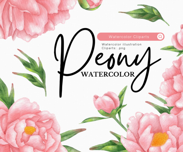 ArtStation - Peony Flowers - watercolor clipart set | Artworks