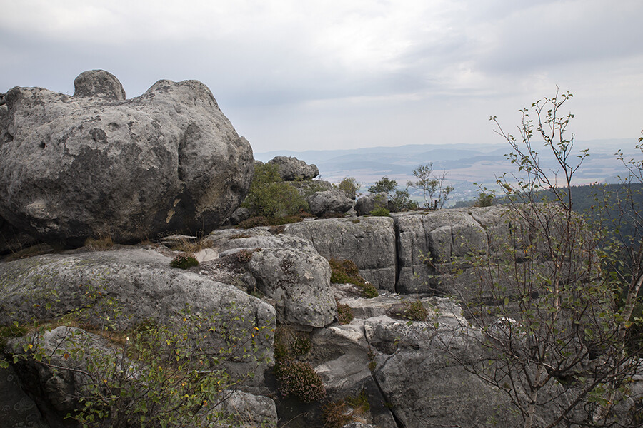 ArtStation - Rock and rocky cliffs photo pack for reference ...