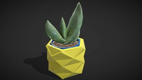 ArtStation - Aloe | Game Assets