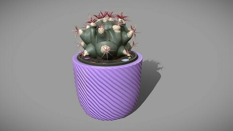 ArtStation - Ferocactus emori/Cactus | Game Assets