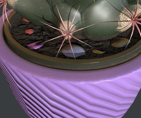 ArtStation - Ferocactus emori/Cactus | Game Assets