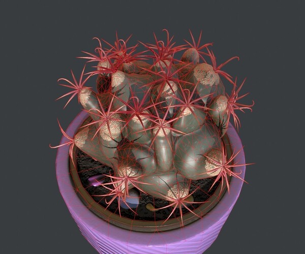 ArtStation - Ferocactus emori/Cactus | Game Assets