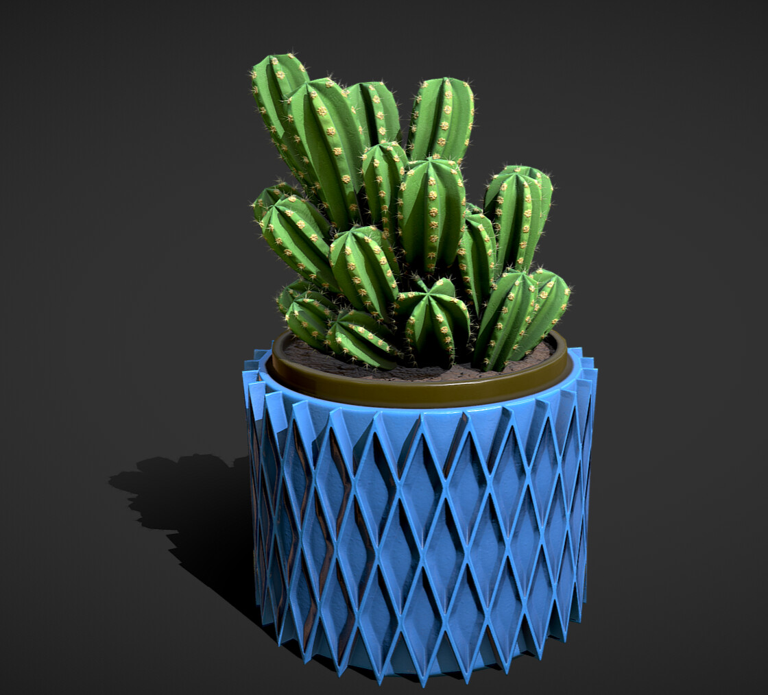 ArtStation - Cactus Cereus peruvianus florida | Game Assets