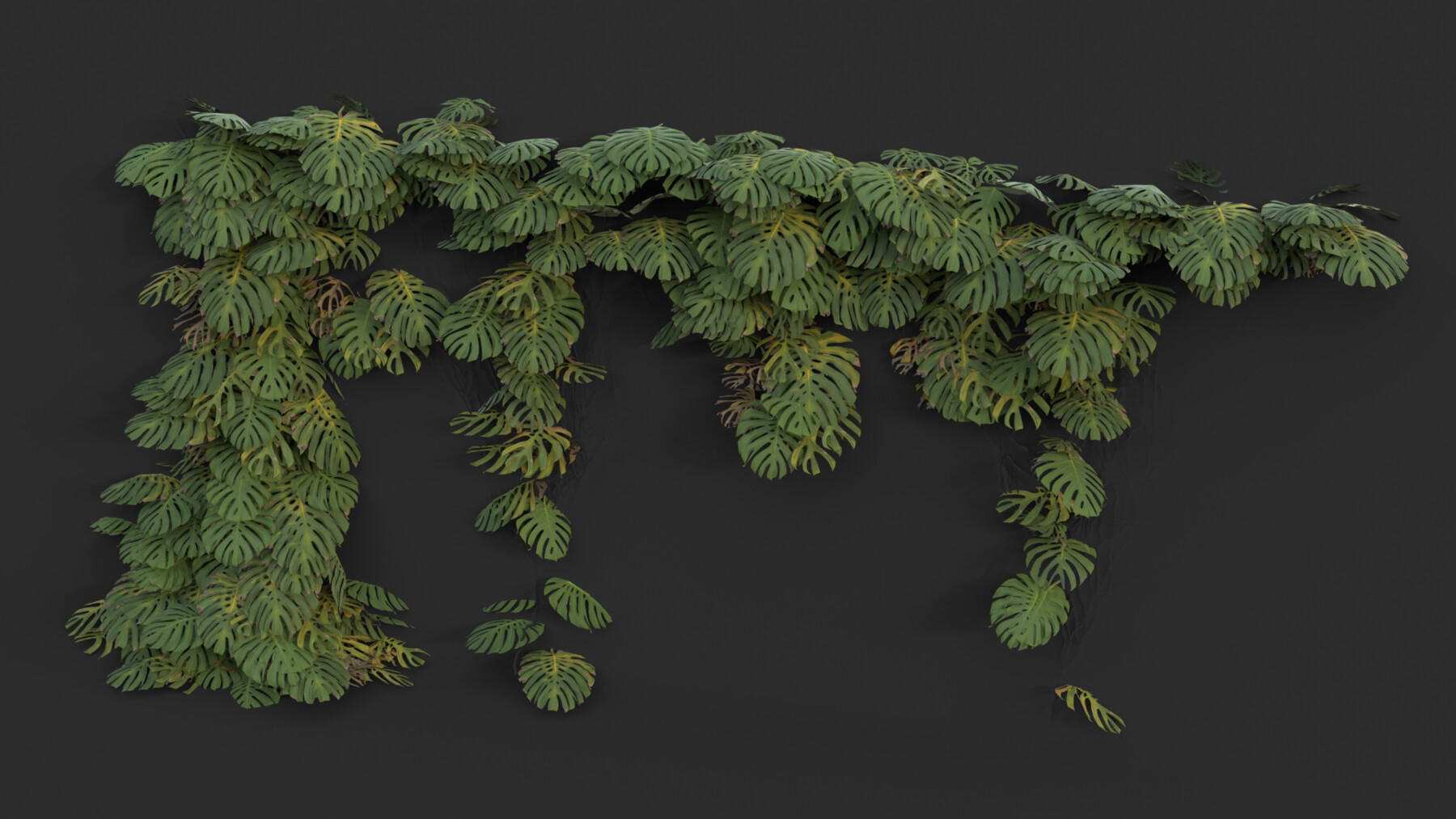 ArtStation - Monstera Plant Set | Game Assets