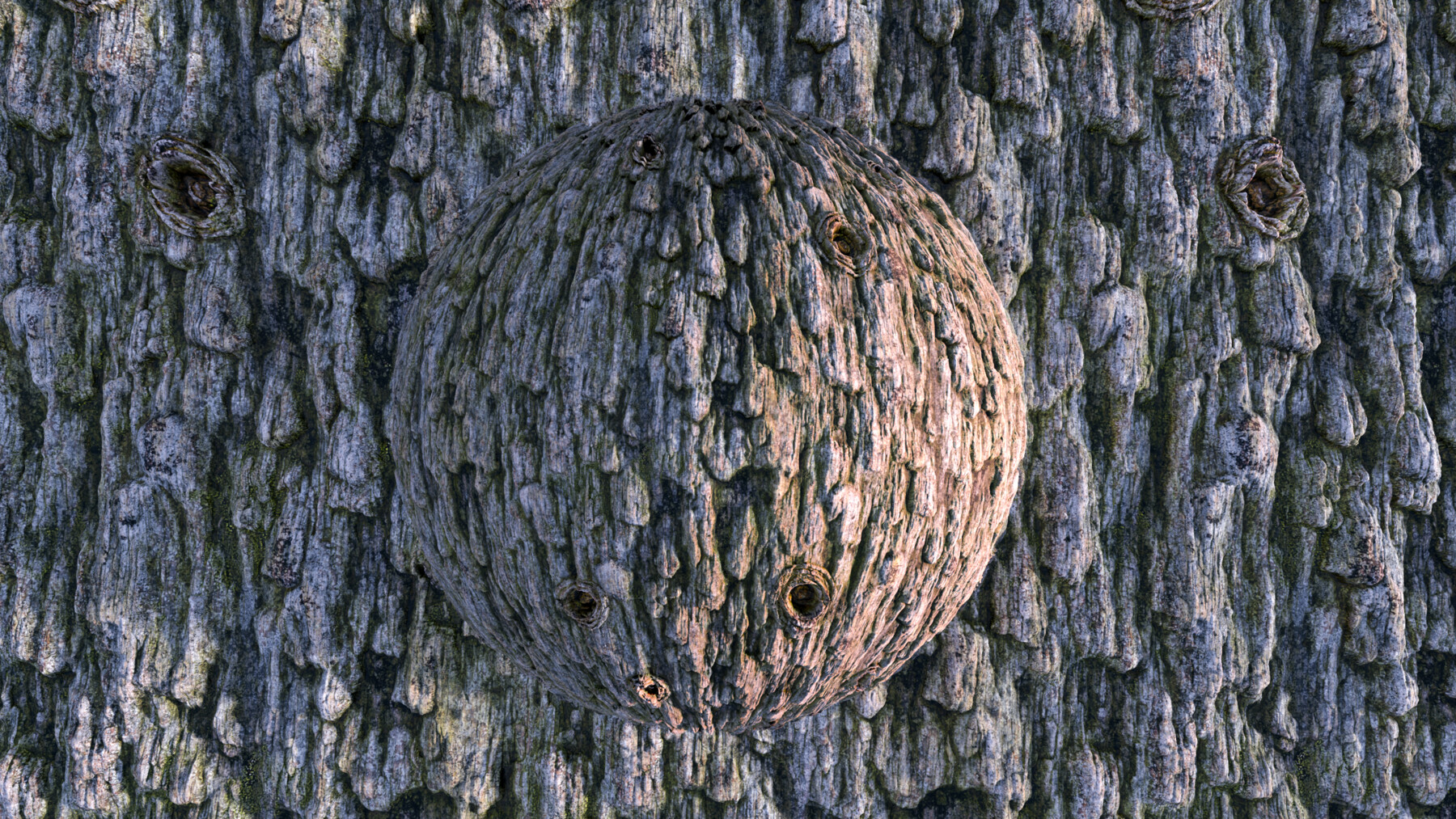 ArtStation - Tree Trunk Graph Pack | Resources