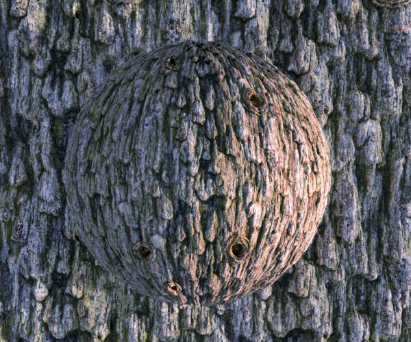 ArtStation - Tree Trunk Graph Pack | Resources
