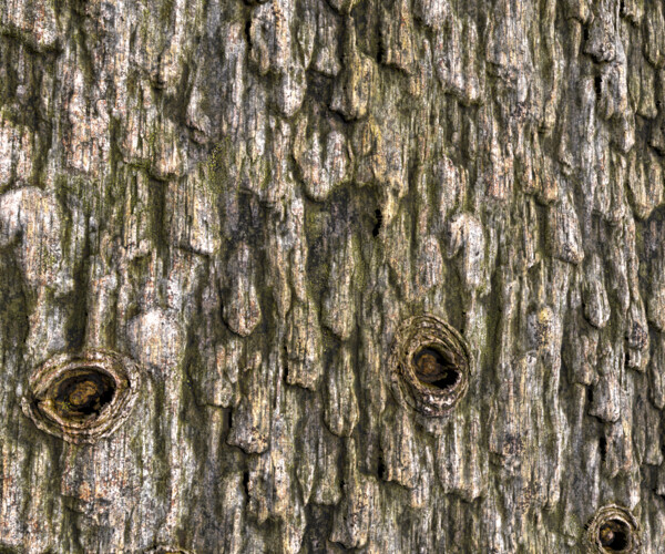 ArtStation - Tree Trunk Graph Pack | Resources