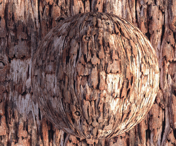 ArtStation - Tree Trunk Graph Pack | Resources