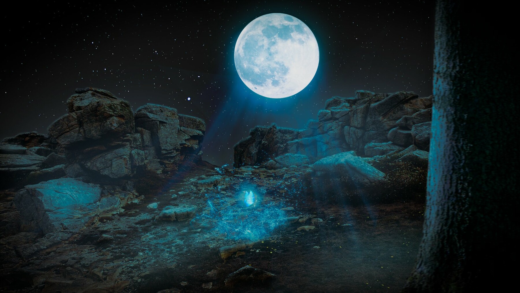 ArtStation - beautiful night | Artworks