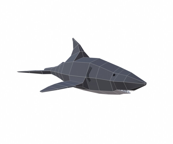 ArtStation - Shark Cartoon | Game Assets