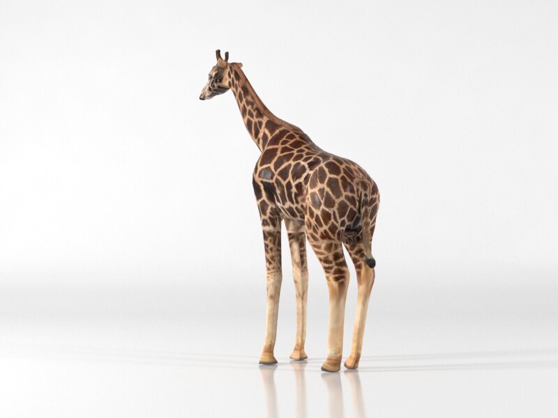 ArtStation - Giraffe | Game Assets