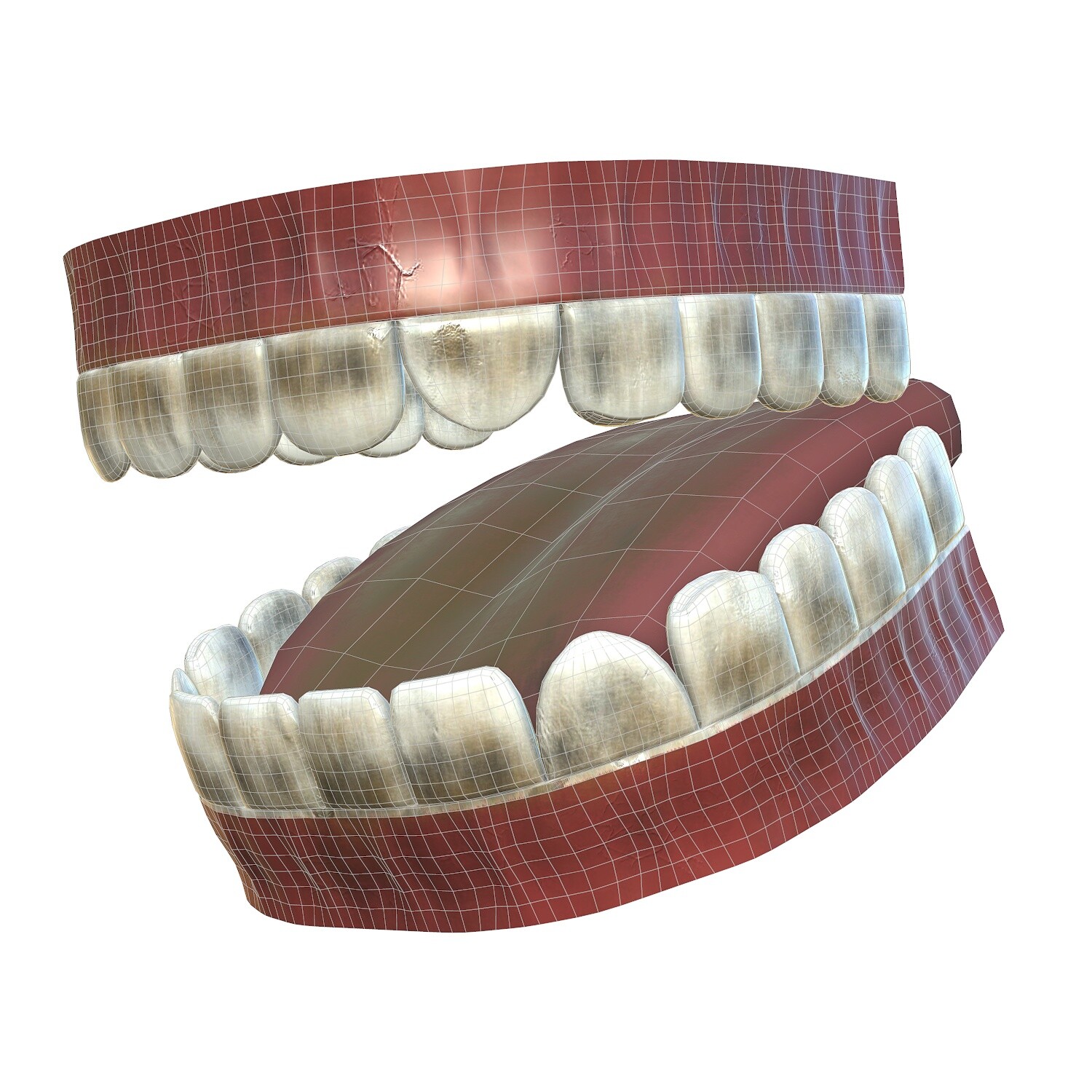 ArtStation - Teeth - Mouth Interior Low-poly | Resources