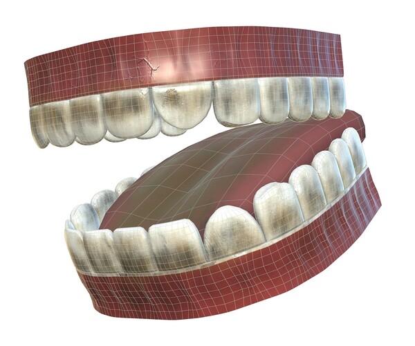 ArtStation - Teeth - Mouth Interior Low-poly | Resources