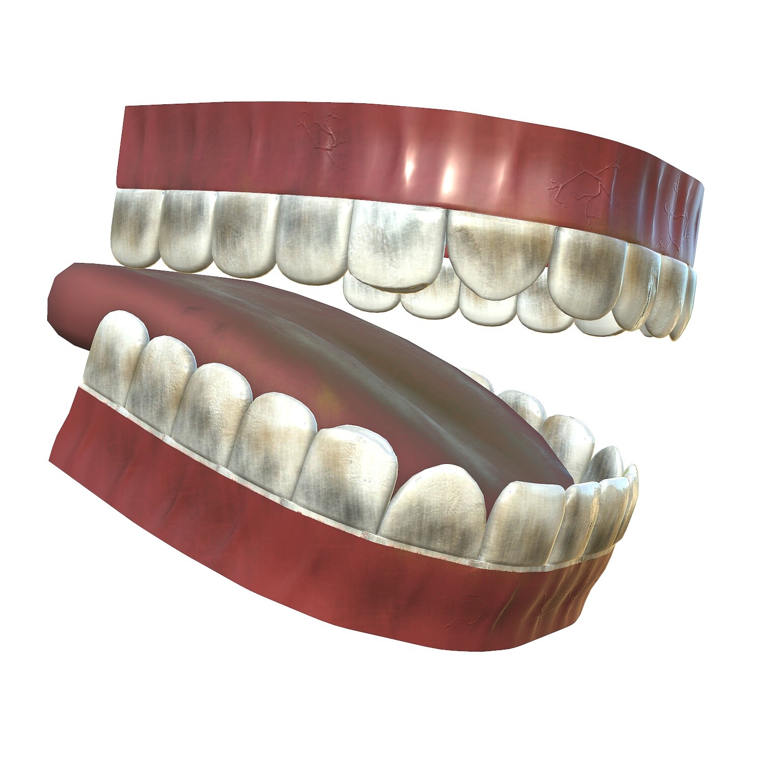 ArtStation - Teeth - Mouth Interior Low-poly | Resources