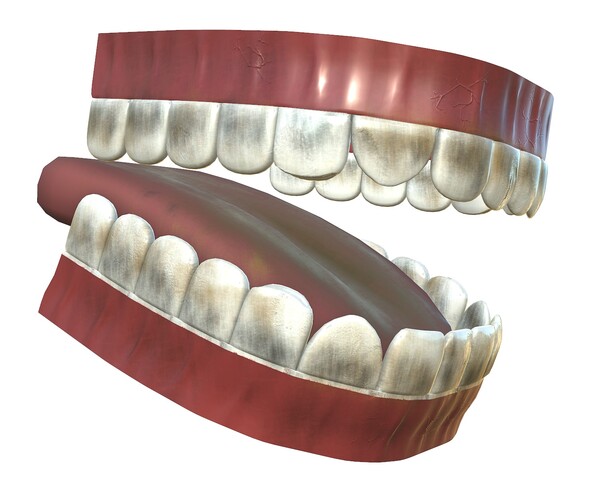 ArtStation - Teeth - Mouth Interior Low-poly | Resources