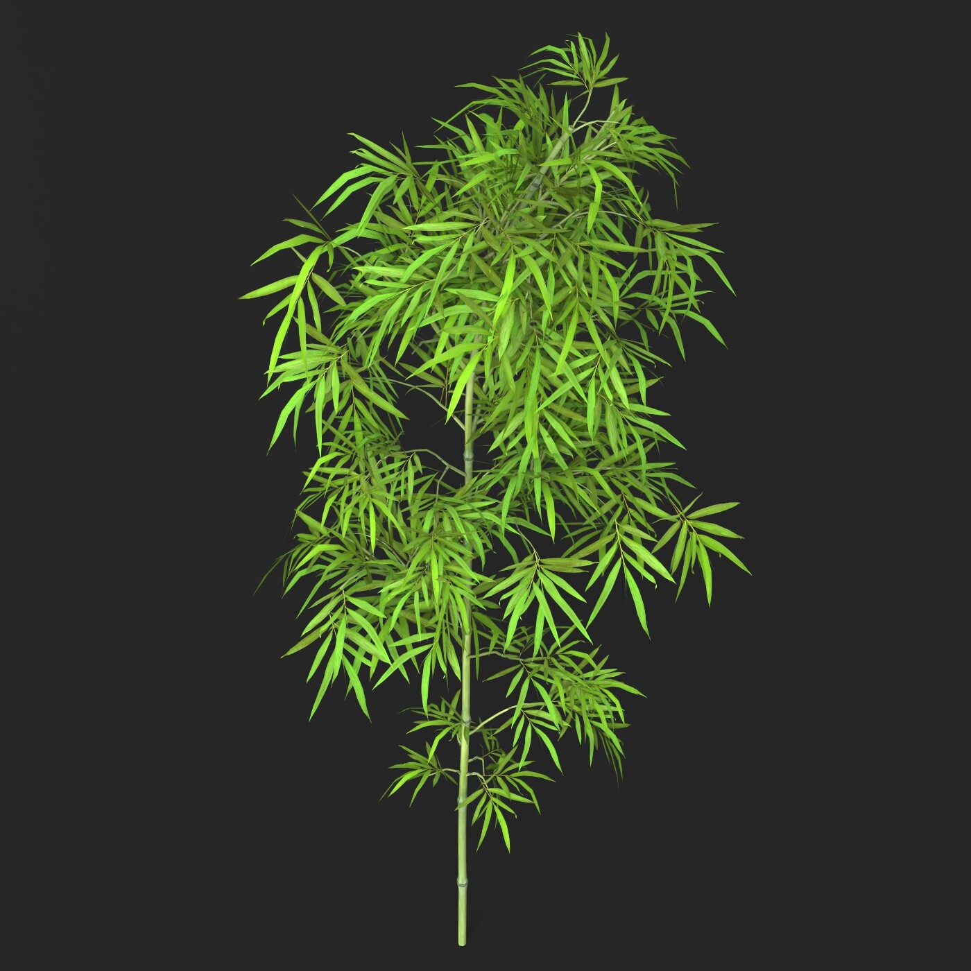 ArtStation - Realistic Game Ready Bamboo Tree 01 | Resources